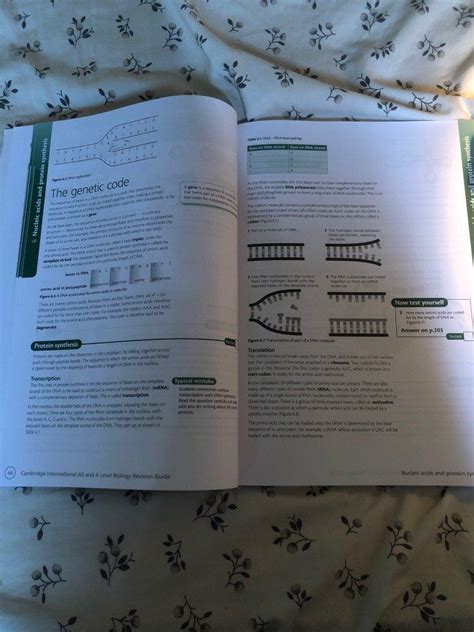 Biology Revision Guide Cambridge A Level Hobbies And Toys Books