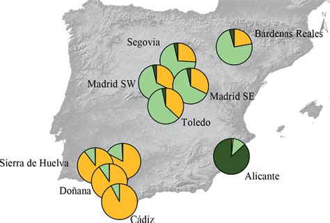 Spatial Clustering Analysis In Geneland The Number Of Inferred Download Scientific Diagram