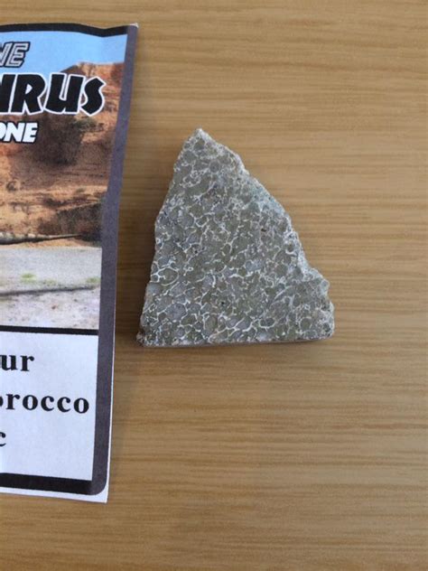 Found In Northern Arizona What Is It Fossils