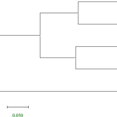 unweighted pair group method with arithmetic mean dendrogram showing