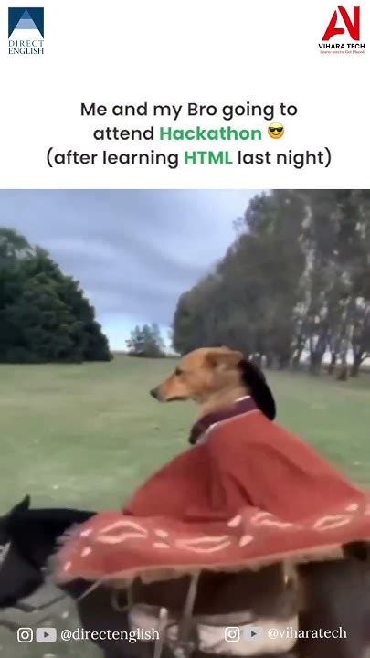 Attend Hackathon After Learning Html 😎 Programming Hackathon Html Coding Memes Memesdaily