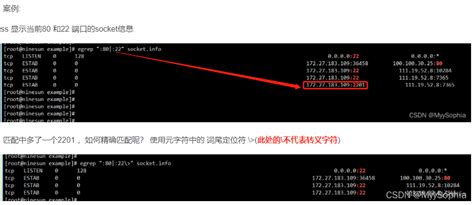 Linux shell元字符与命令行解析步骤 阿里云开发者社区 Linux shell元字符与命令行解析步骤 阿里云开发者社区
