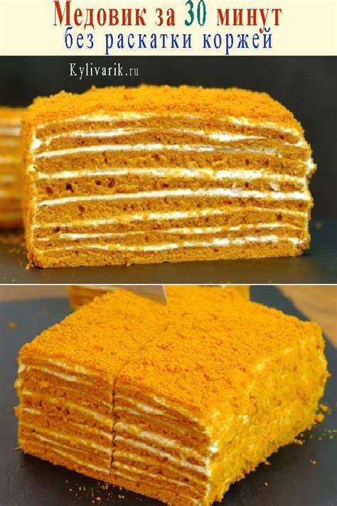Медовик за 30 минут без раскатки коржей No Sugar Foods Cake Recipes