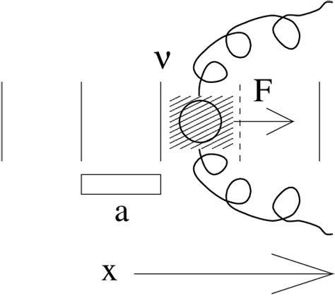 15 Schematic Showing A Brownian Particle Subject To A Spring Force Download Scientific