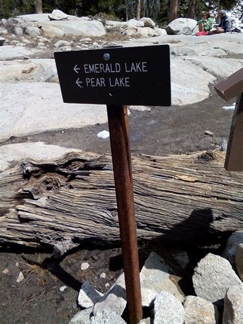 Pear Lake Sequoia