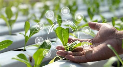 The Future Of Agriculture Why Commercial Agriculture Should Adopt