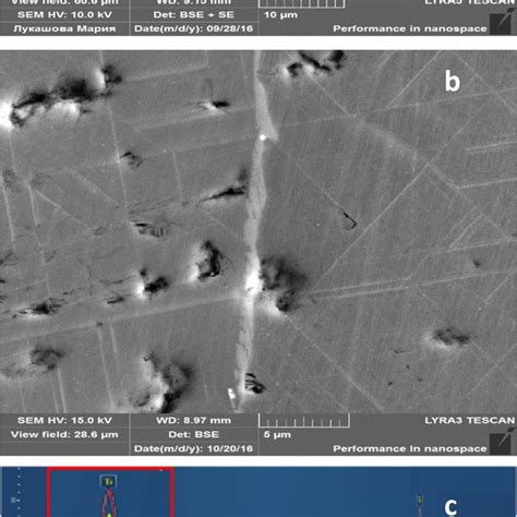 Microstructure Of The Annealed Titanium Monoxide Tio 126 Thin Section Download Scientific