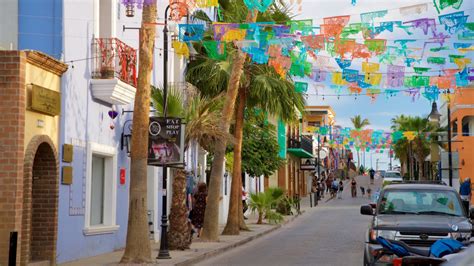 Experiencia De Cabo Art Walk San Jose Mijangos Real Estate