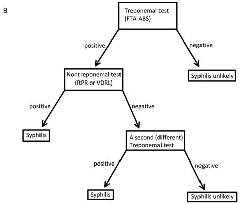 Secondary Syphilis Pathophysiology Clinical Manifestations And Diagnostic Testing