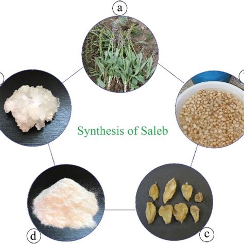 Compaction Curve A Functional And Conceptual Zones B Compaction Of Download Scientific