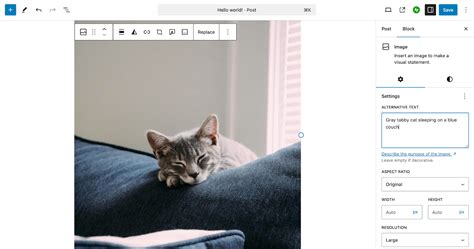 How To Add Alt Tags To WordPress Images Alt Text Attribute How To Add Alt Tags To WordPress Images Alt Text Attribute
