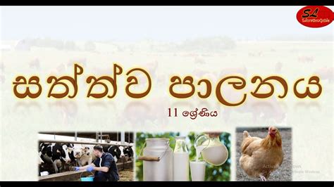 කෘෂි හා ආහාර තාක්ෂණය 11 ශ්‍රේණිය සත්ත්ව පාලනය 7 වන කොටස Youtube
