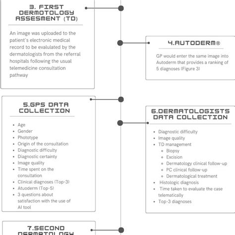 Diagram Procedure Gps General Practitioners Pc Primary Care Td Download Scientific