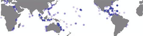 Locations Where Data Already Released In The Coral Trait Database Were Download Scientific