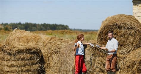 야외에서 더미로 작업하는 동안 건초 샘플을 보고 있는 남성과 여성 농부들 사진 Unsplash의 건초 이미지