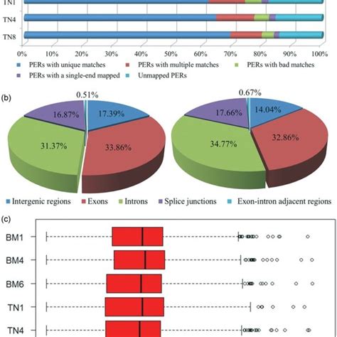 summary of rna seq mapping data a overall mapping results of