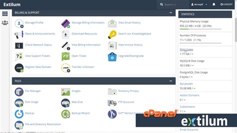 View Statistics Cpanel • Extilum Knowledgebase