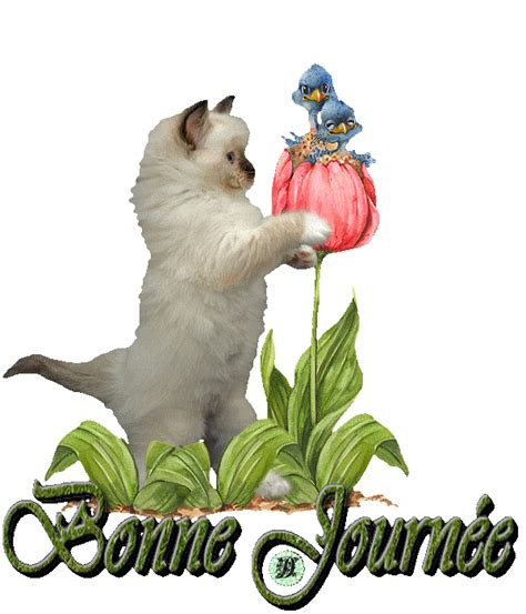 Bonne Journée Chat Tulipe  Animé Gratuit Le Monde Des S