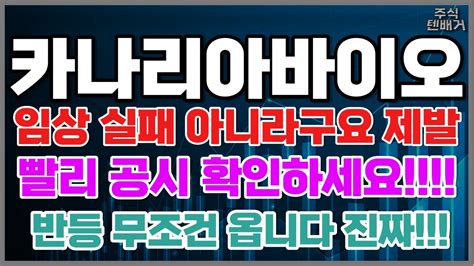 카나리아바이오 임상 실패 아니라구요 제발 카나리아바이오 지금부터 시작입니다 카나리아바이오 카나리아