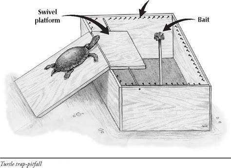 Farm Pond Management Troubleshooting Common Pond Problems Kentucky