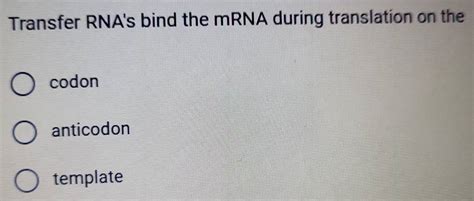Solved Transfer Rnas Bind The Mrna During Translation On The Codon Anticodon Template [biology]