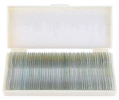 Prepared Slides For Microscopy General Biology