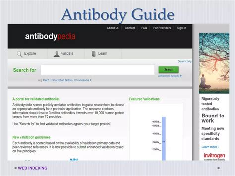Bridging Histology And Bioinformatics Ppt