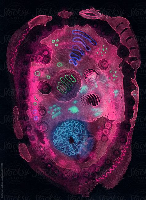 Micro Structure Images Search Images On Everypixel