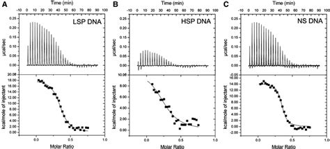 Thermodynamic Analysis Of Tfam Binding To Dna Itc Analyses Of Tfam Download Scientific Diagram