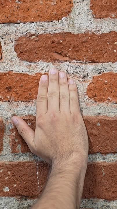 Odoo On Linkedin Odoo Odoomexico