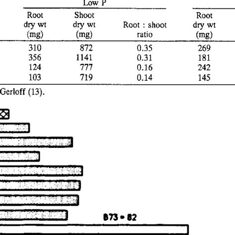 Root Shoot Ratios For Strains Of Snapbean Grown Under Two Levels Of