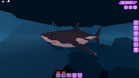 How To Get A Megalodon In Club Roblox Roblox Pro Game Guides