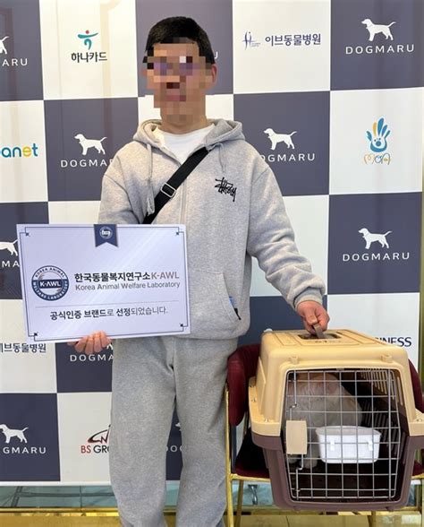 코리안숏헤어 백도 이탈리아그레이하운드입양 치와와입양 폼스키입양 폼치입양 폼피츠입양 푸숑입양 고양이입양 랙돌입양 러시안블루입양 먼치킨입양 브리티쉬숏헤어입양 노르웨이숲입양 뱅갈