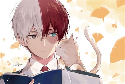 Todoroki As A Cat Wallpapers Wallpaper Cave