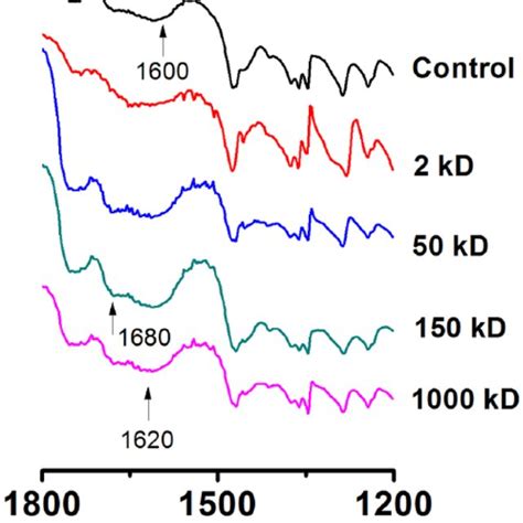 Fourier Transform Infrared Ftir Spectra Of Bioprinted Scaffolds Download Scientific Diagram