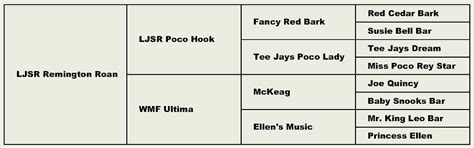 Lazy JS Ranch Stallions