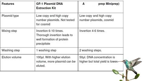 Bioproess Tech102 Lab6 Extraction Of Plasmid Dna Using Gf 1 Plasmid