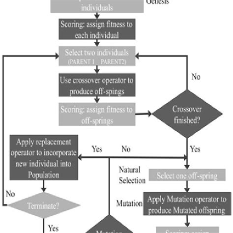 Block Diagram Representation Of Genetic Algorithms Gas Download Scientific Diagram