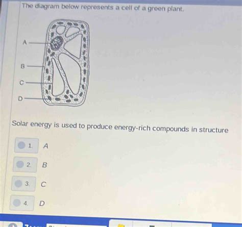 Solved The Diagram Below Represents A Cell Of A Green Plant Solar Energy Is Used To Produce