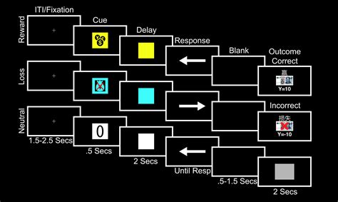 Subthalamic Oscillatory Activity Of Reward And Loss Processing Using The Monetary Incentive