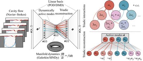 On The Role Of Nonlinear Correlations In Reduced Order Modelling