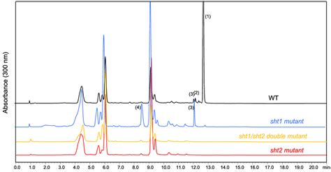 Stacked Hplc Chromatograms Of Extracts Obtained From Flower Buds At Download Scientific Diagram