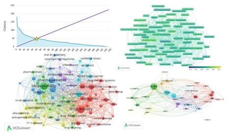 Bibliometric Mapping Of Solid Lipid Nanoparticles Research 20122022 Using Vosviewer