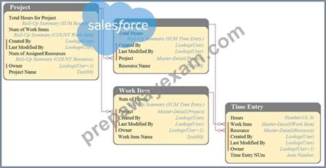 Salesforce Data Architecture And Management Designer Premium Exam Engine Pdf Download Free
