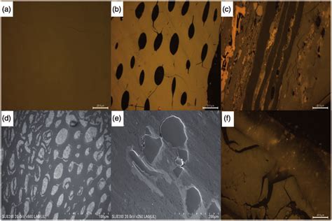 Macerals And Minerals In Coals From The Huoshaopu And Jinjia Mines A Download Scientific