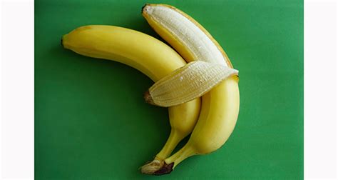 Food Or Sex Fruit Flies Give Insight Into Decision Making Laboratory News