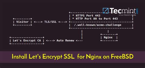 How To Install Nginx Mariadb And Php Femp Stack On Freebsd