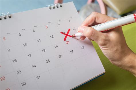 Calendario Scolastico 2024 2025 Campania Studentiit