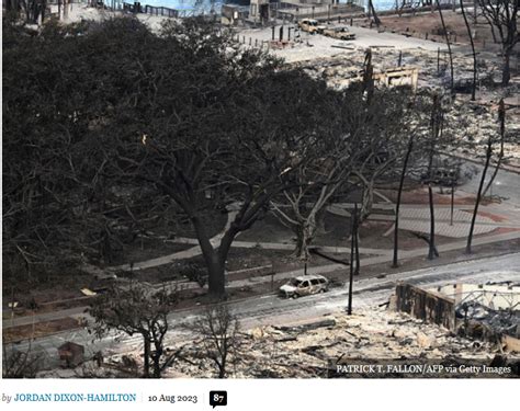 Mauis Famous Banyan Tree Scorched By Wildfires But Still Stands Vietnamese American