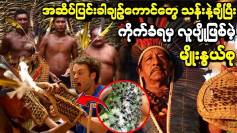 လူပျိုဖြစ်ဖို့အတွက် အဆိပ်ပြင်းခါချဉ်ကောင်တွေ သန်းနဲ့ချီပြီး ကိုက